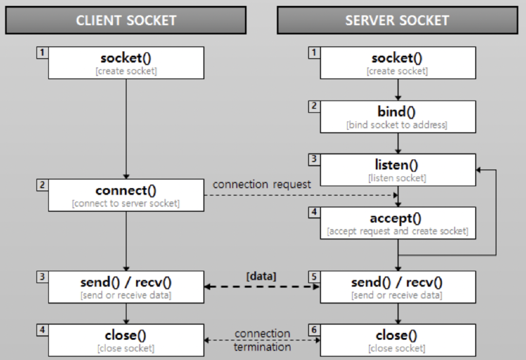 Socket Programming · Home